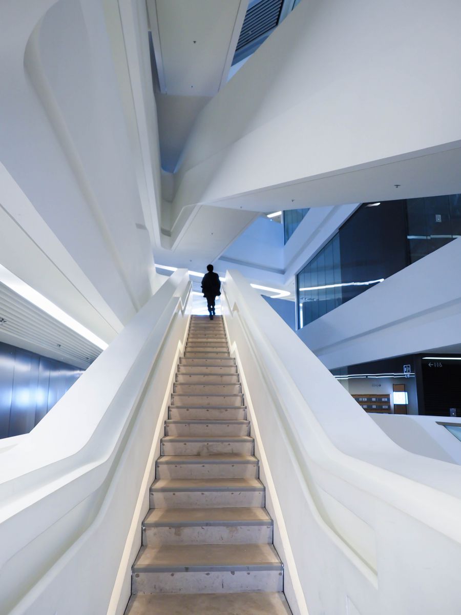 Complex lines. | GANREF