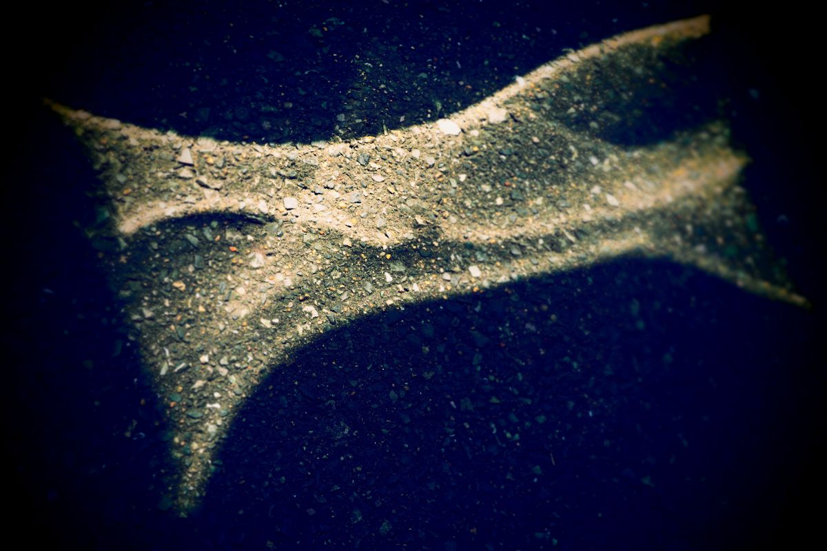 Spread your wings. | GANREF