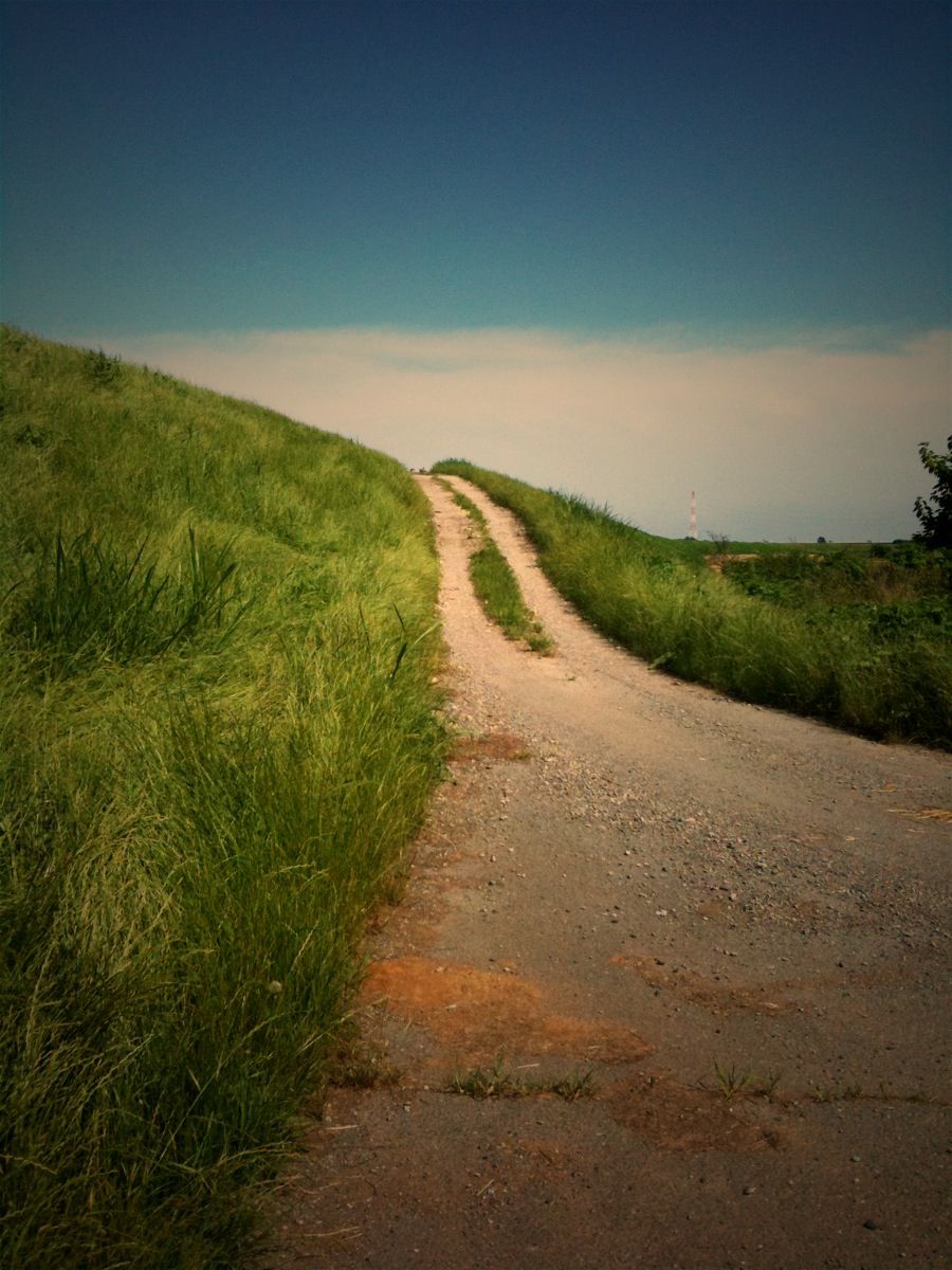 another road | GANREF