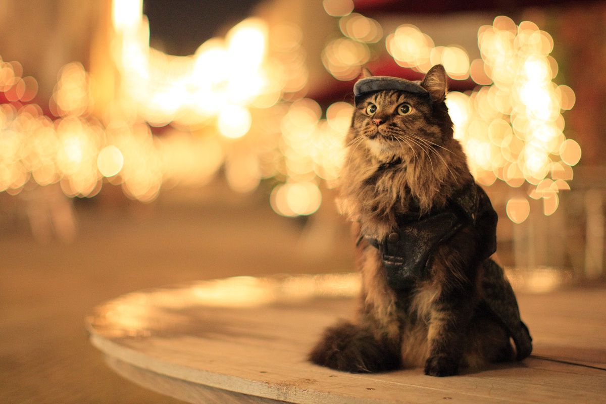 DPP_0147.jpg | GANREF