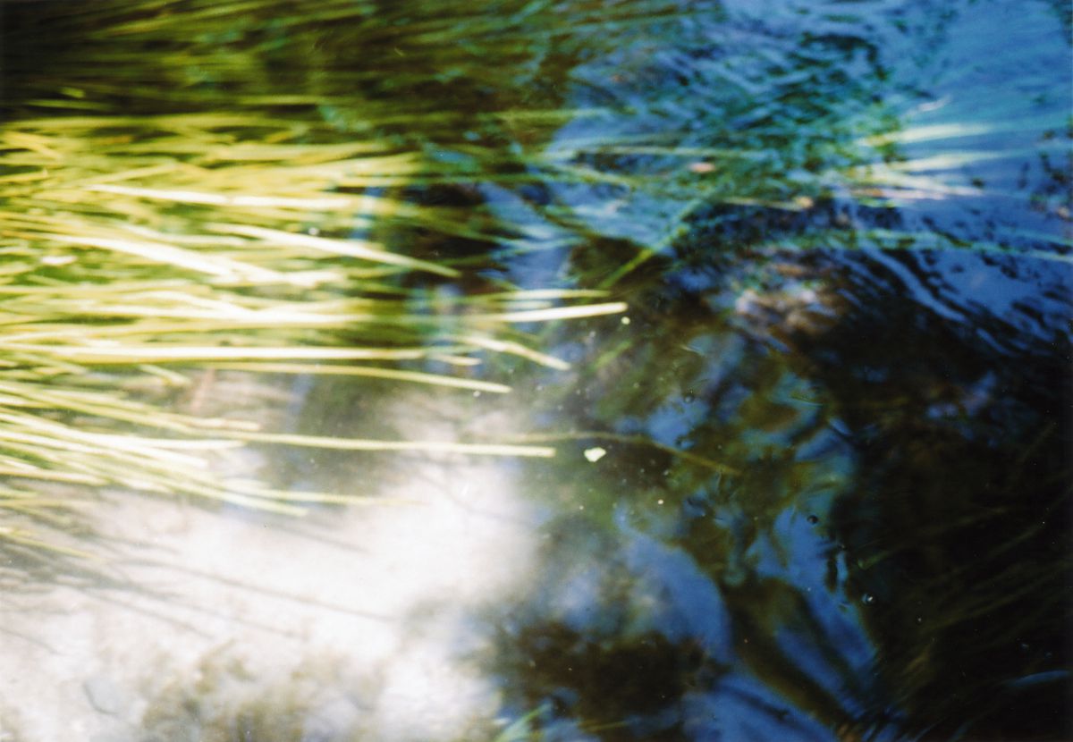 OPEN MINDS #20 | GANREF