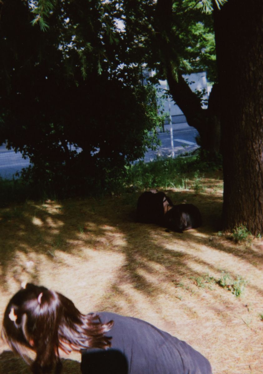 Dead Photograph Storage │死蔵庫│38 | GANREF