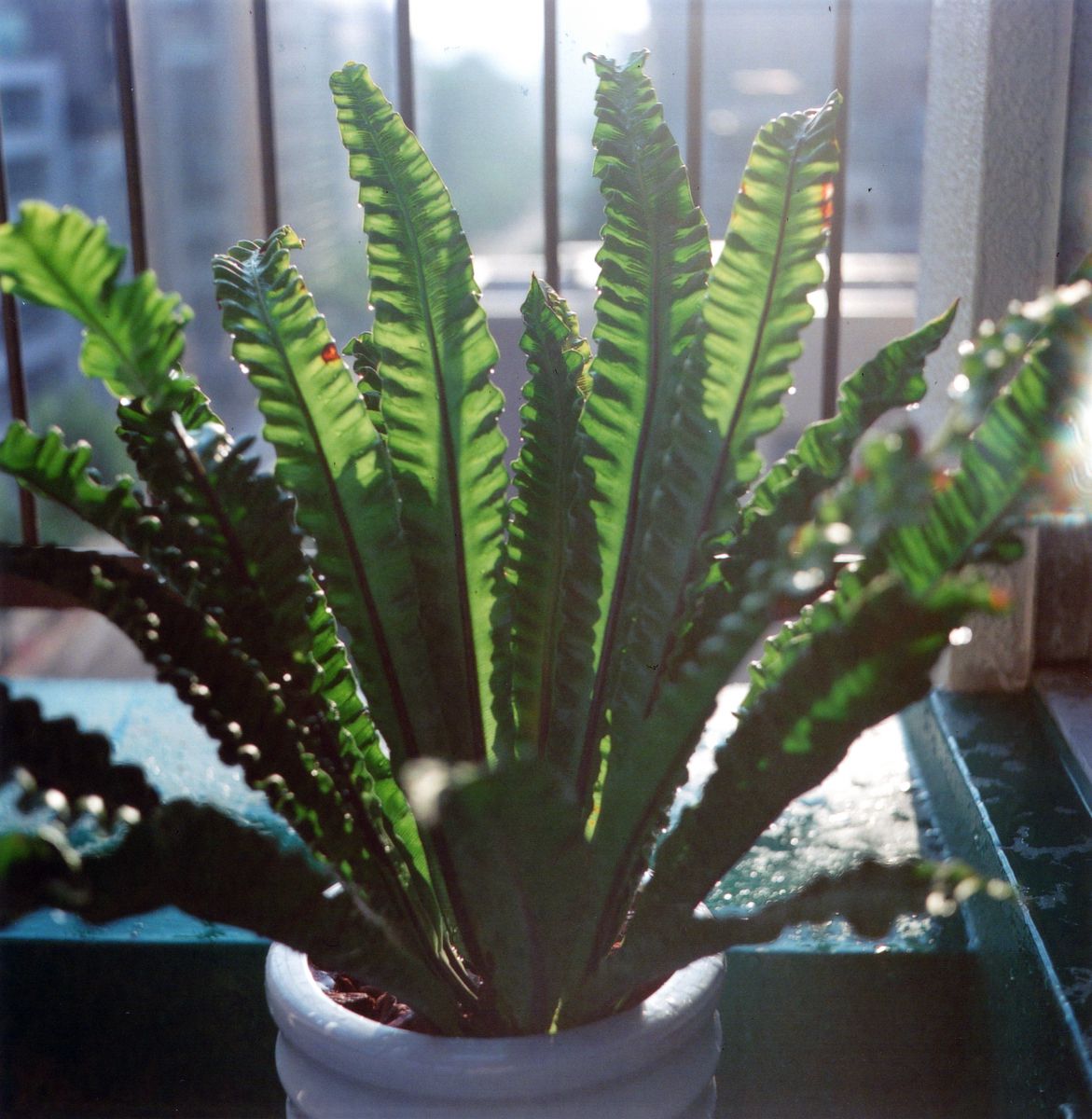 OPEN MINDS #13 | GANREF