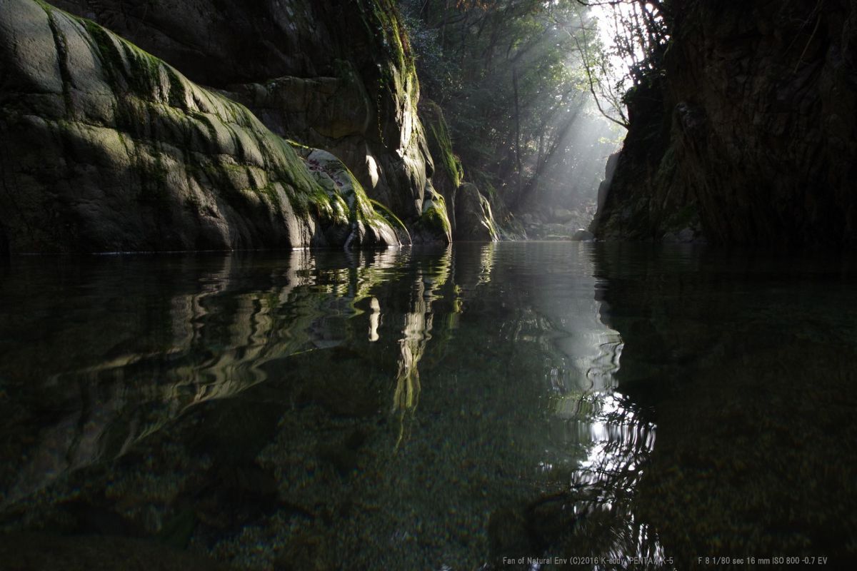 Stream Reflection | GANREF