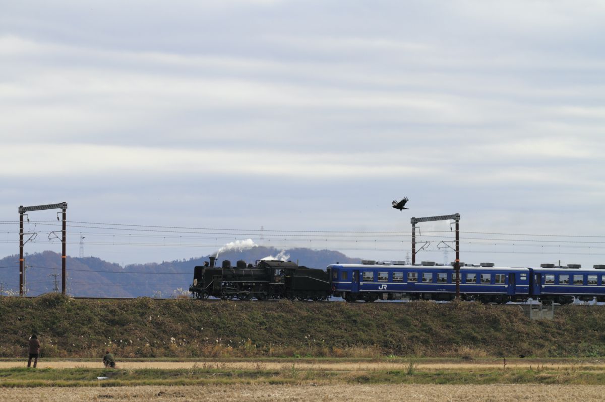 汽車を追う | GANREF