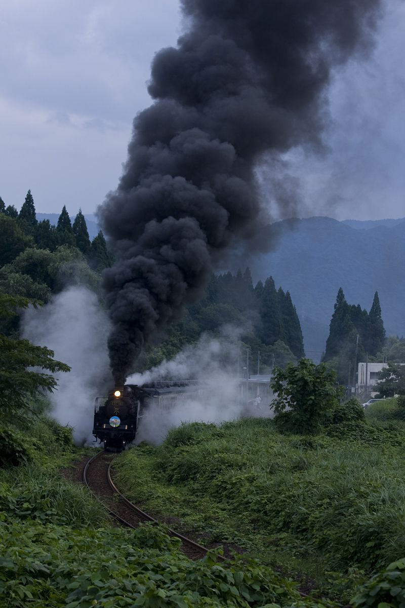 入りきらん | GANREF