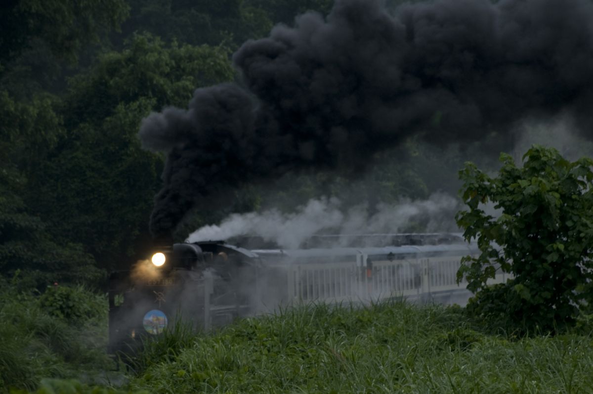 ドレインに包まれて | GANREF