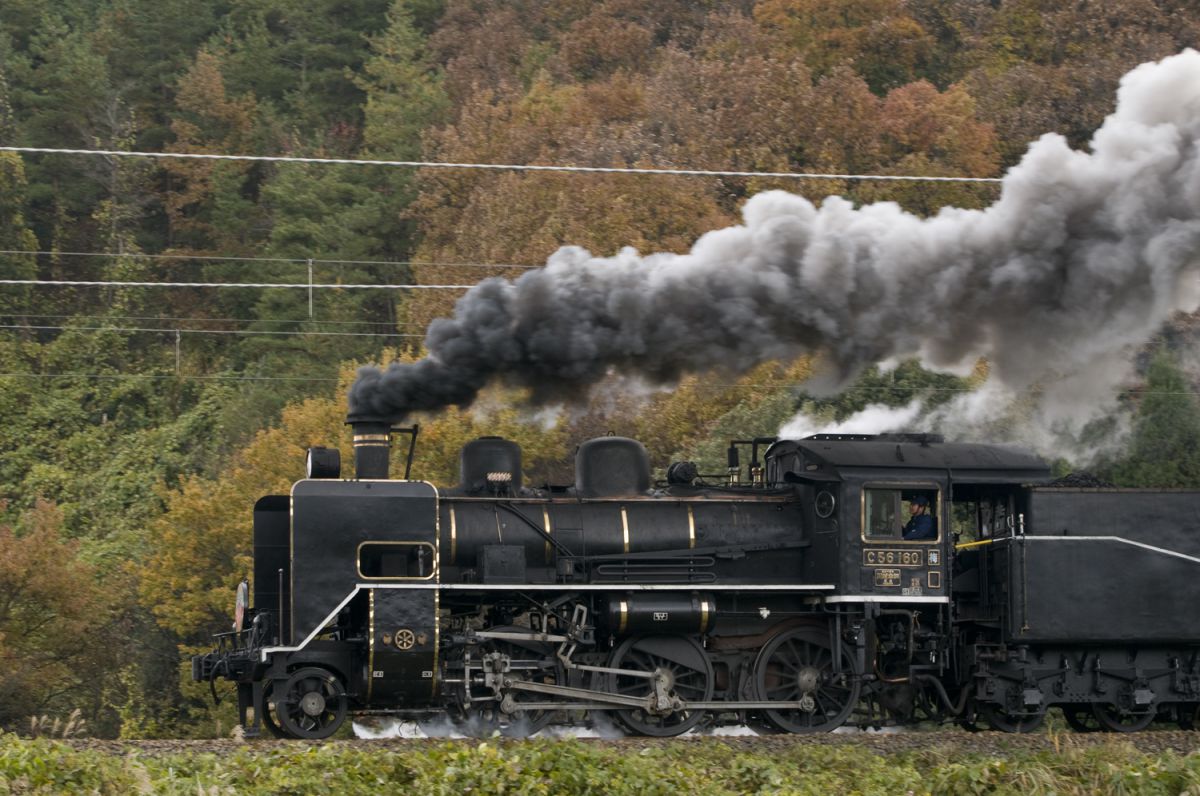 紅葉を横目に | GANREF