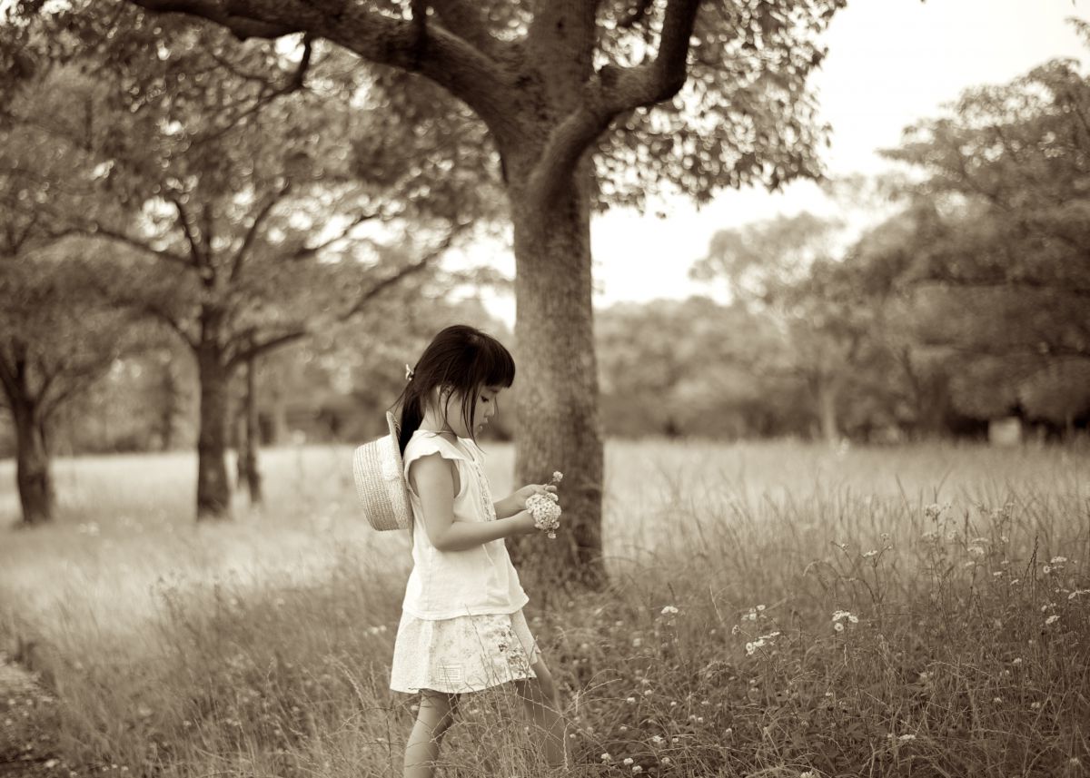 Where Have All The Flowers Gone? | GANREF