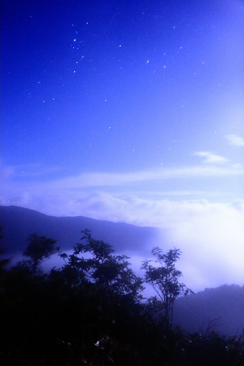 月灯りに照らされて | GANREF