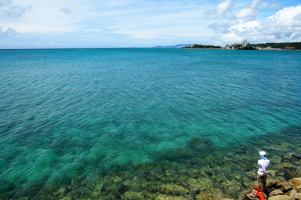 Blue Ocean Fishing！ | GANREF