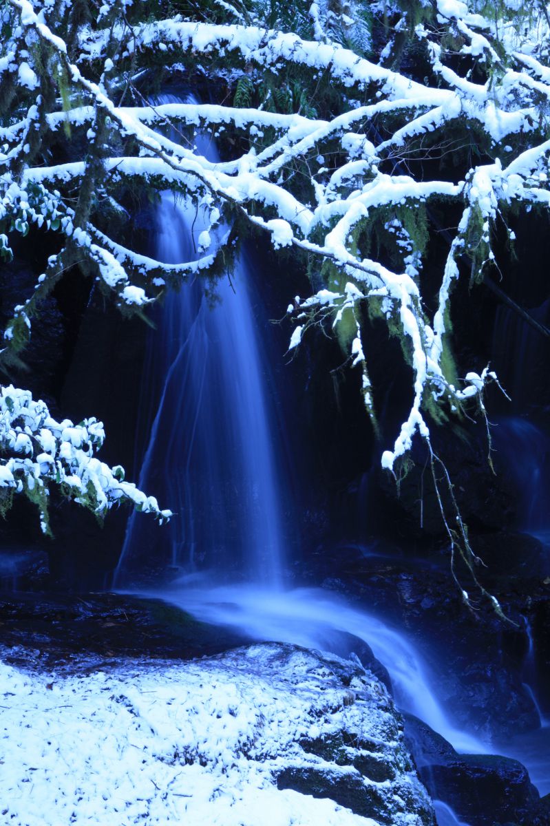 雪まとい | GANREF