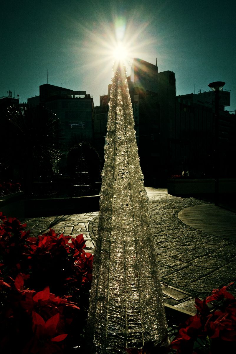 Eternal Light | GANREF