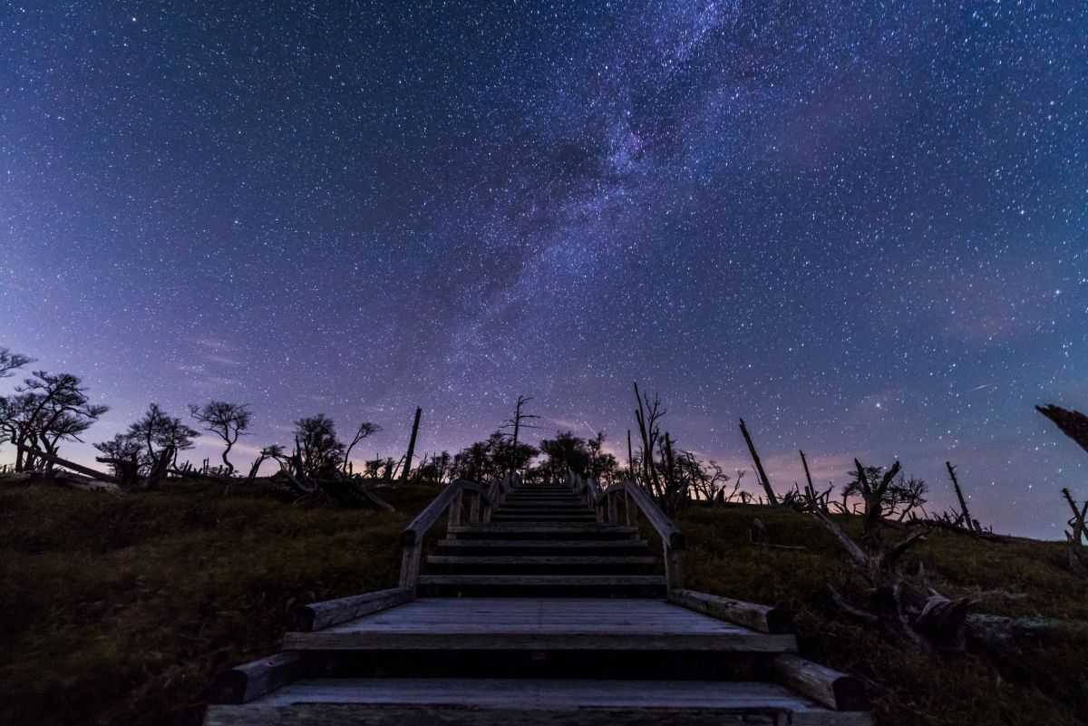 ”Bridge to the universe” | GANREF