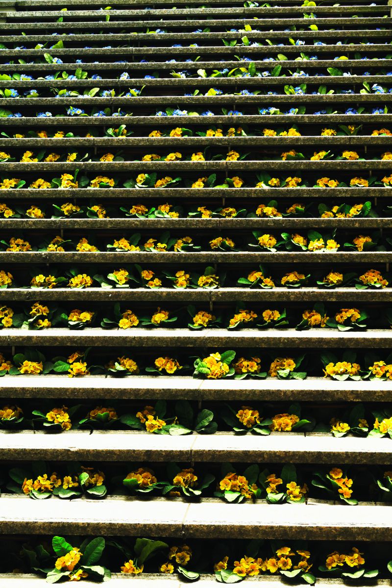 Flower Stairs | GANREF