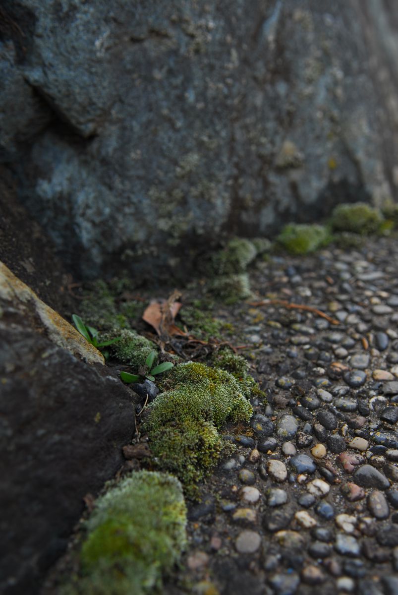 going my way | GANREF