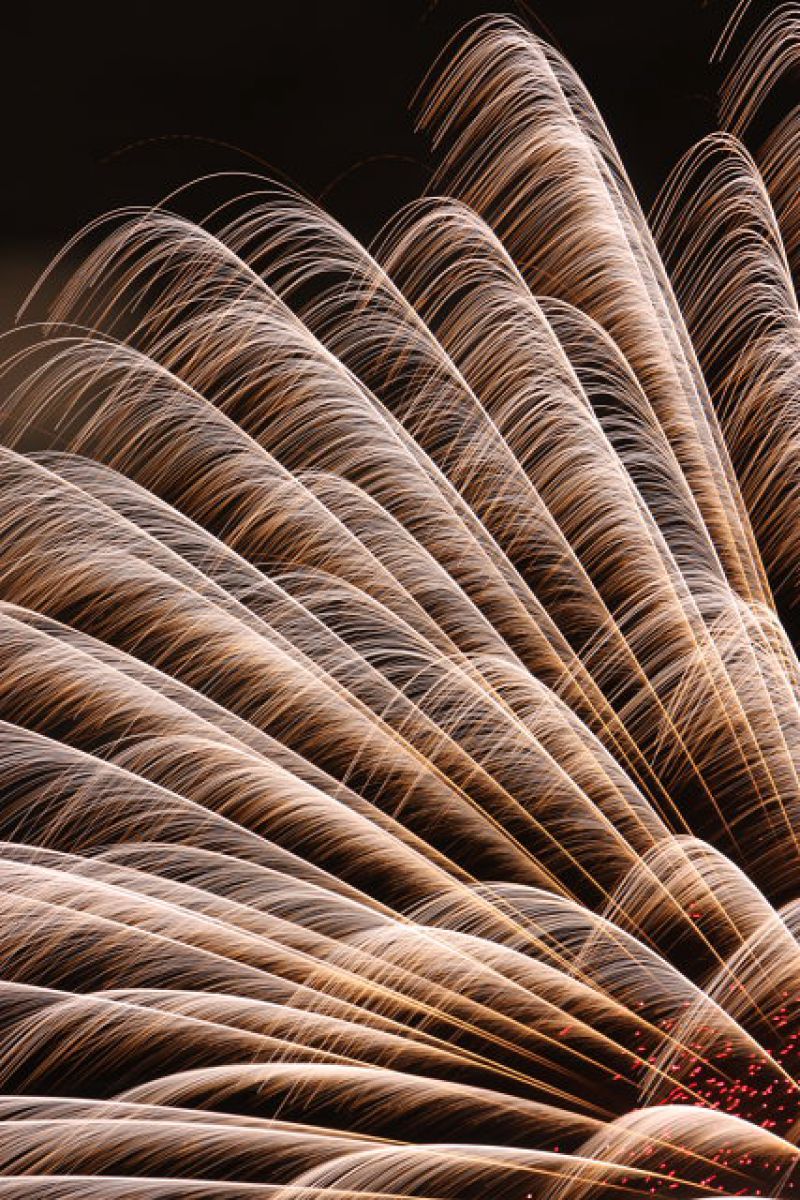 080830gIMG_8459.JPG | GANREF