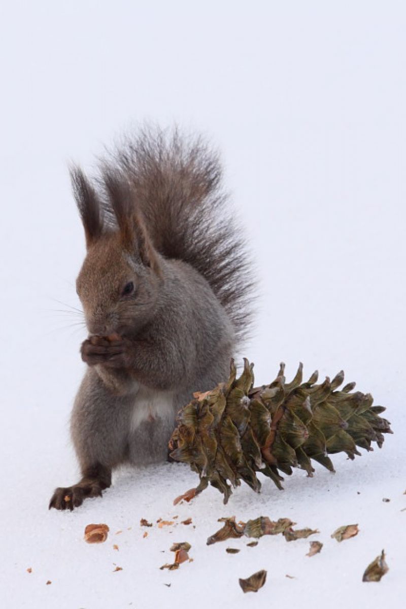 090318iIMG_0461__.JP | GANREF