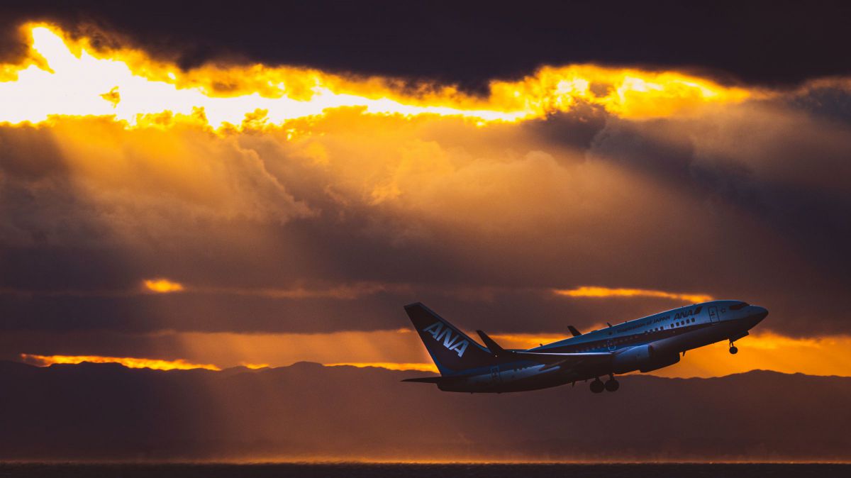 happy flight | GANREF