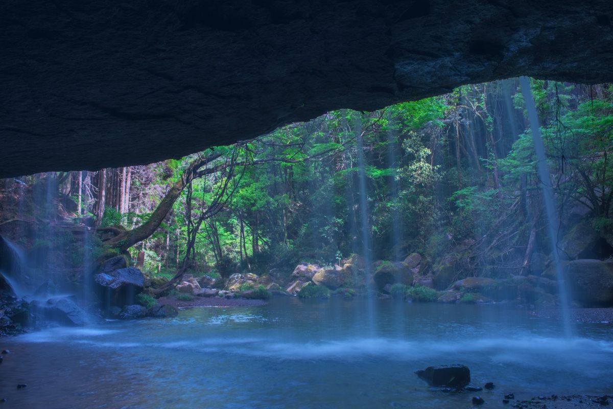 Silk Screen | GANREF