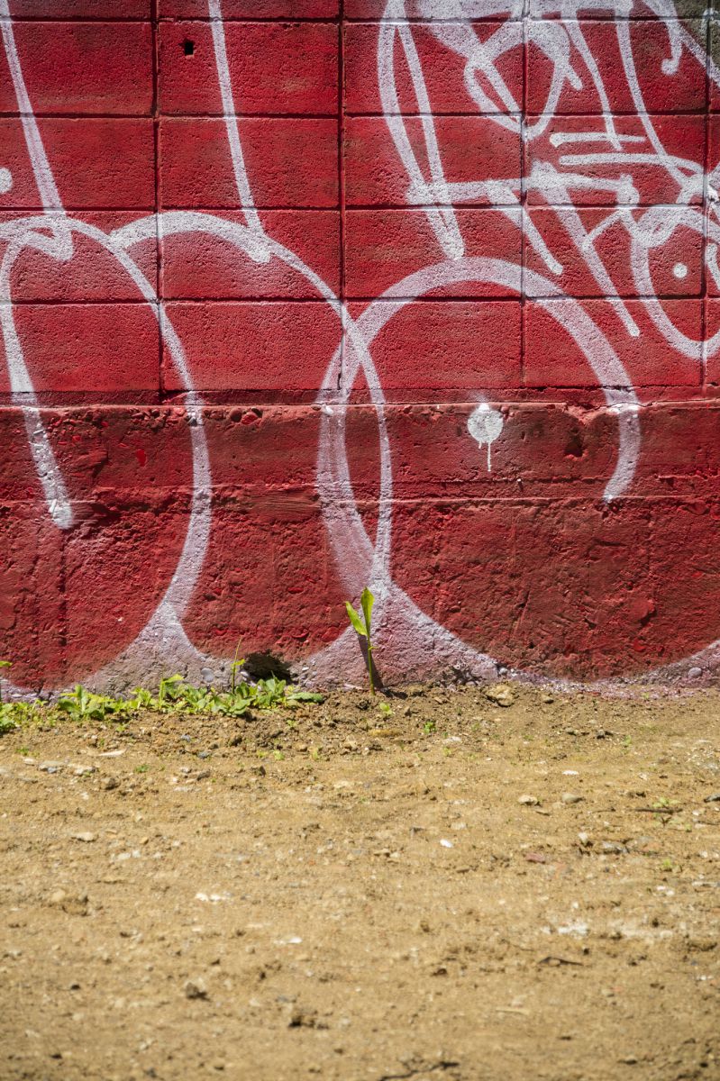 空き地のWALL PAONT | GANREF