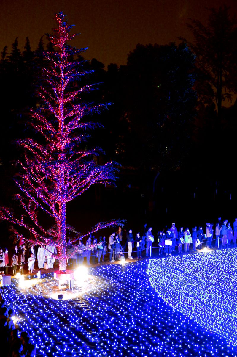 LED Tree | GANREF