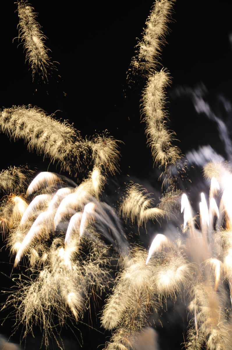 飛べ、ねこじゃらし！ | GANREF