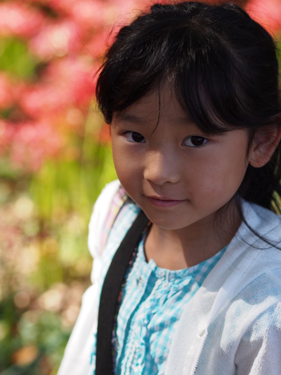 親バカセレクション（9） | GANREF