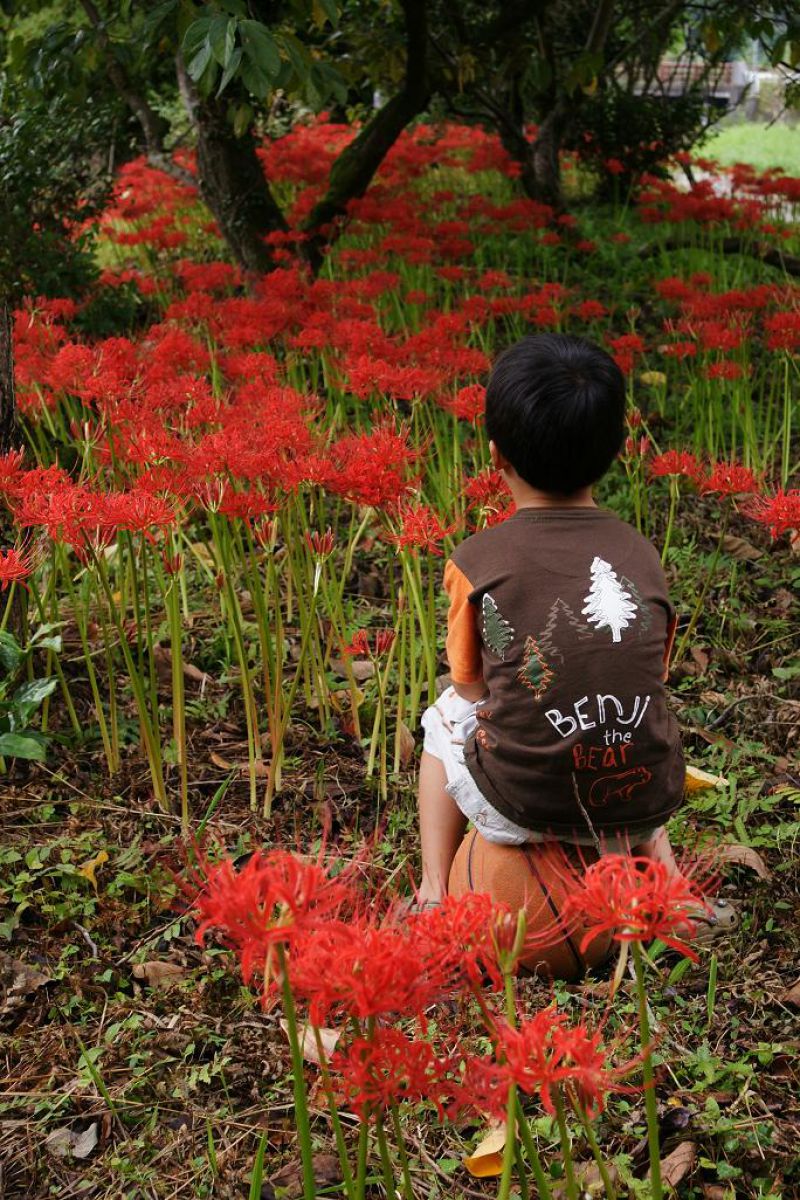 スロータイム | GANREF