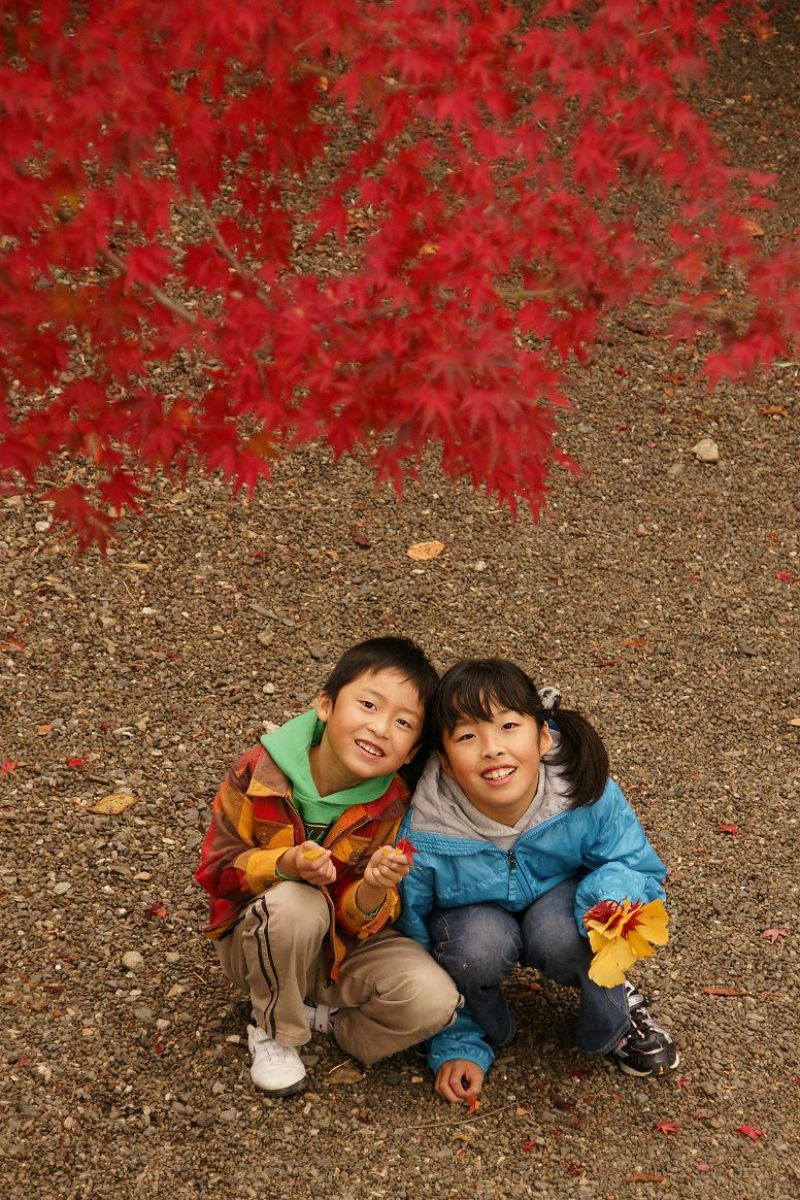 真っ赤だね！ | GANREF