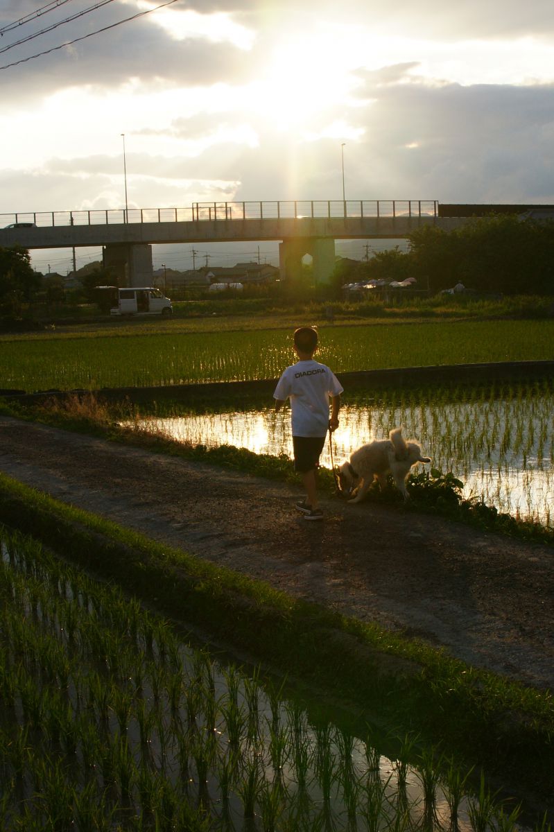 DSC08540 (1).JPG | GANREF