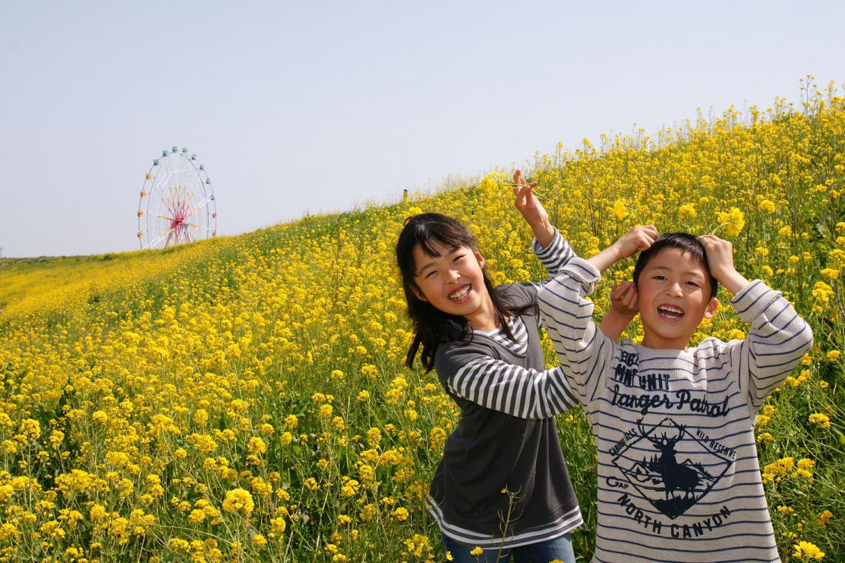 仲良し兄弟 | GANREF