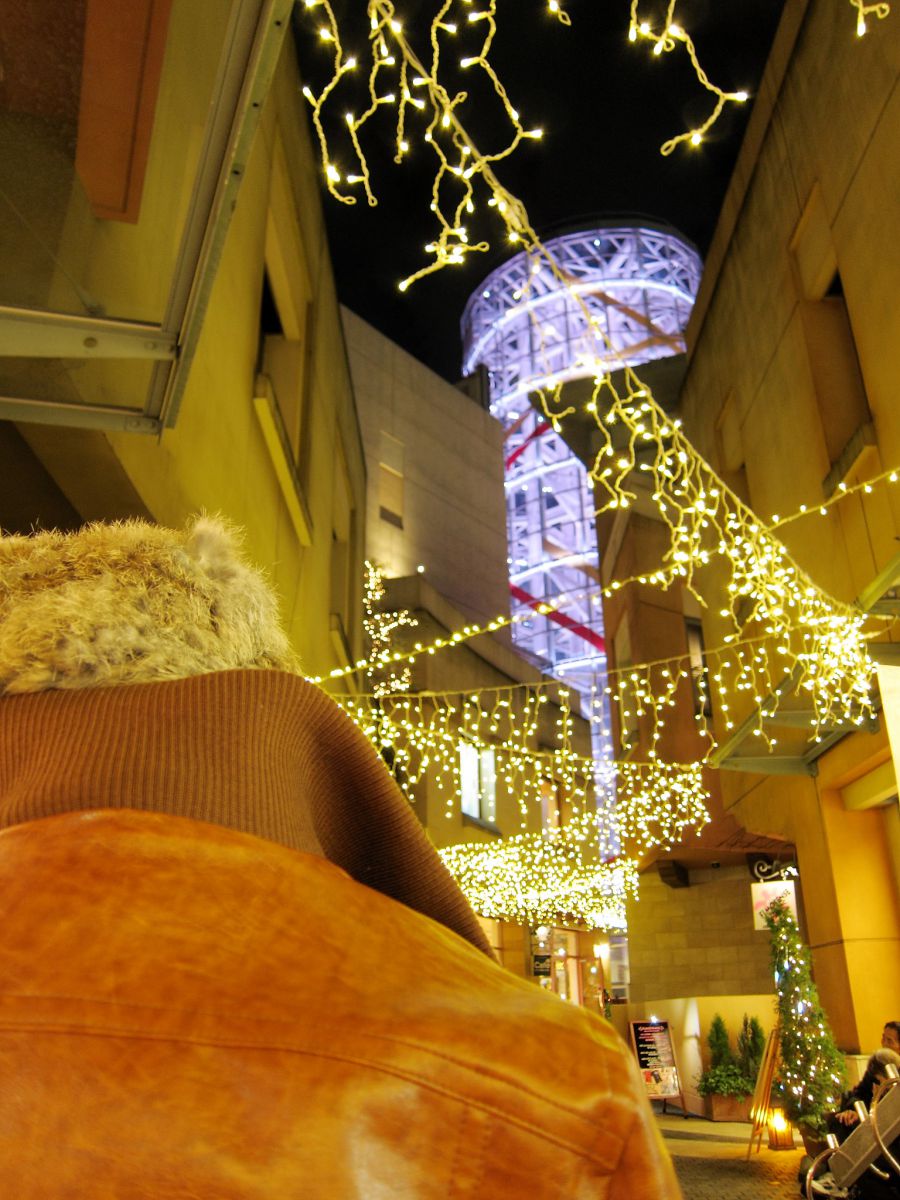 Window Shopping... | GANREF