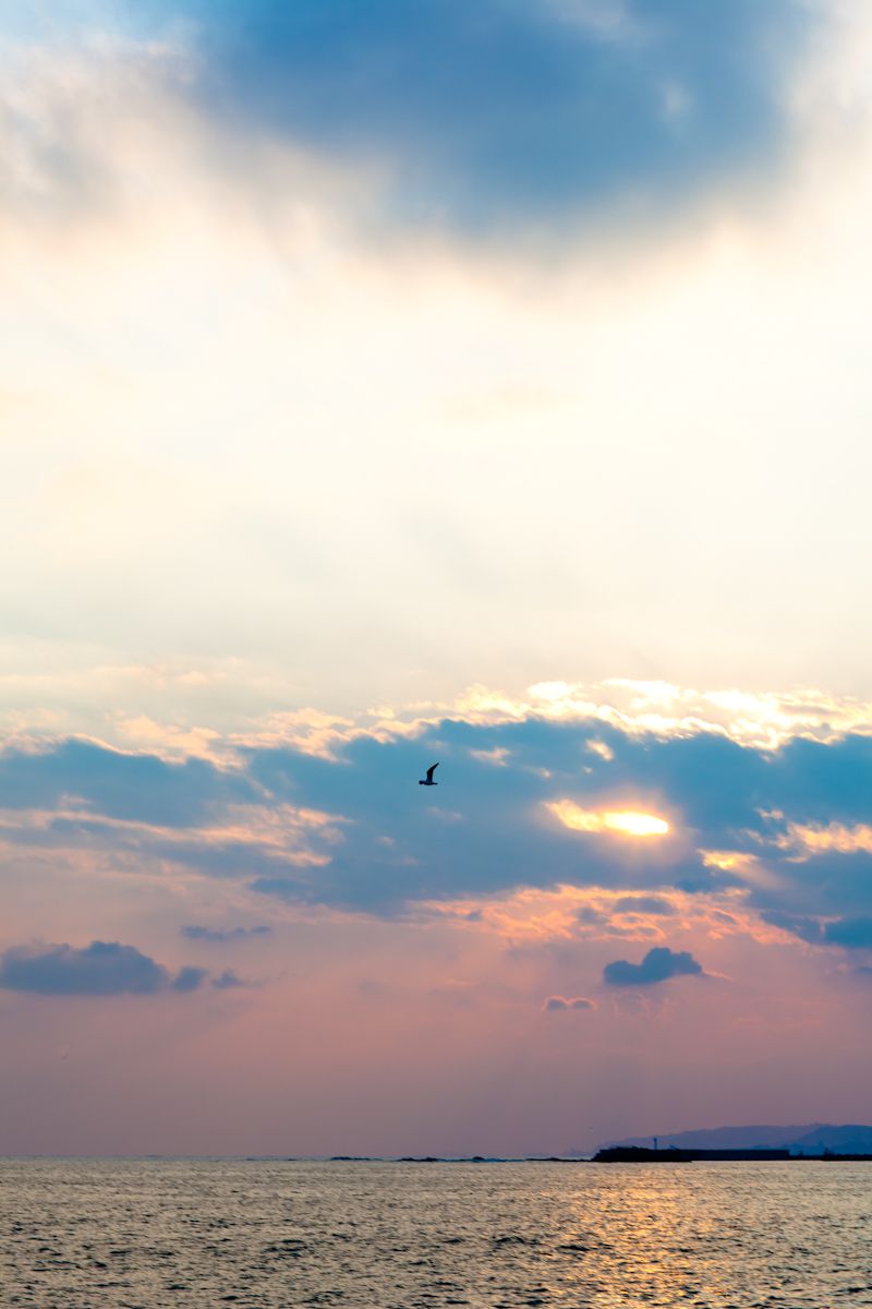 fly, shoot, sunset | GANREF