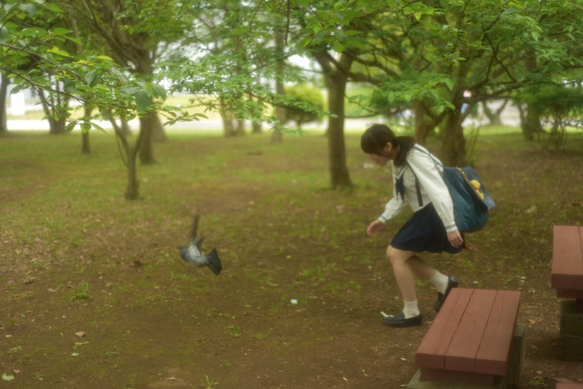 P(Pigeon)とJK | GANREF