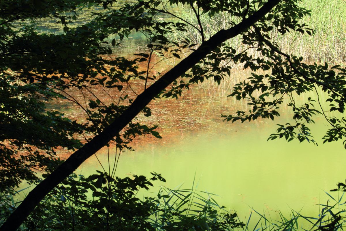 五色沼④ | GANREF