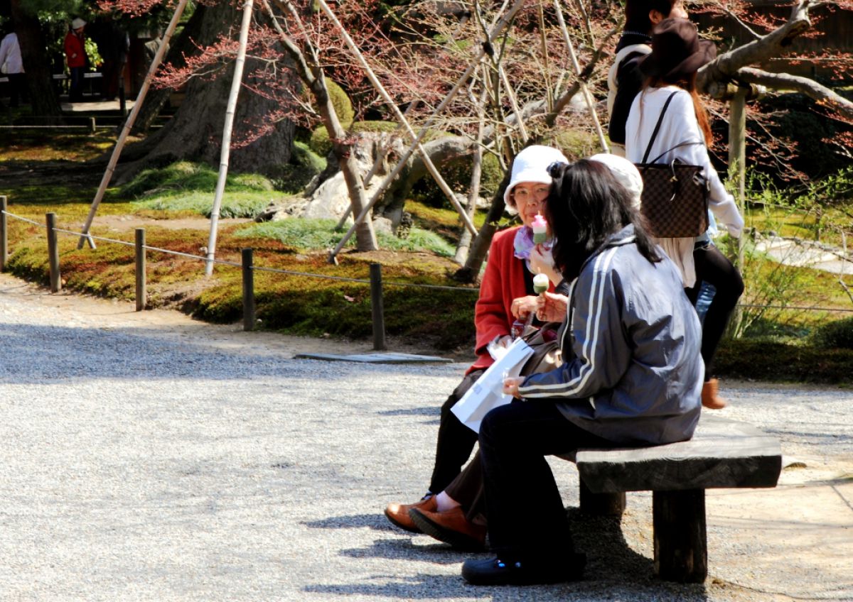 花よりだんご | GANREF