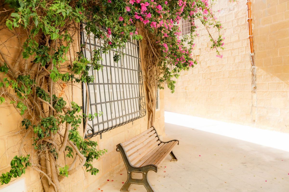 洒落たベンチ | GANREF