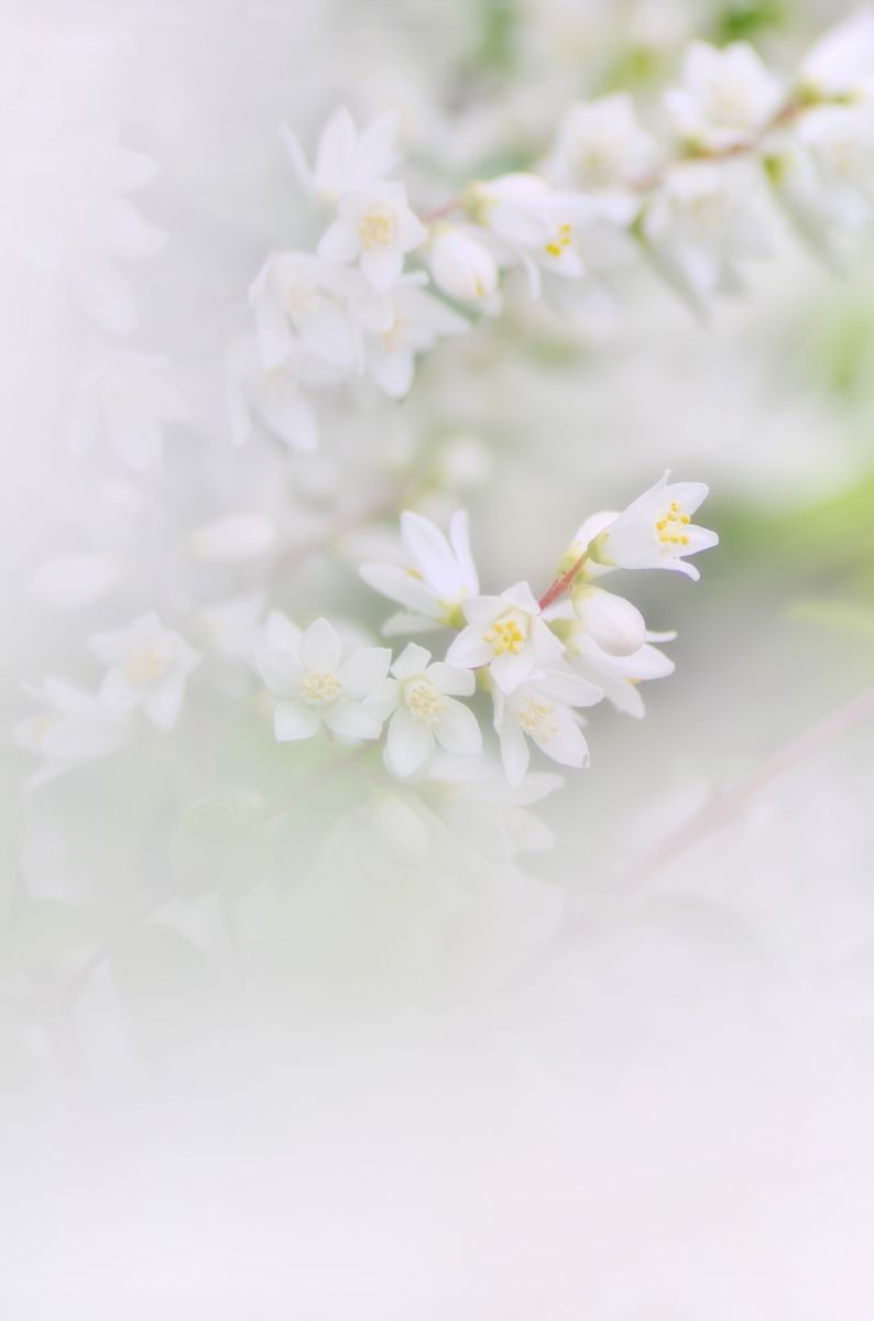 white dress | GANREF