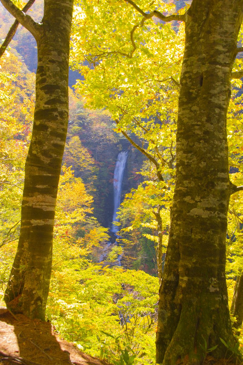 ひっそりと、でも豪快に | GANREF