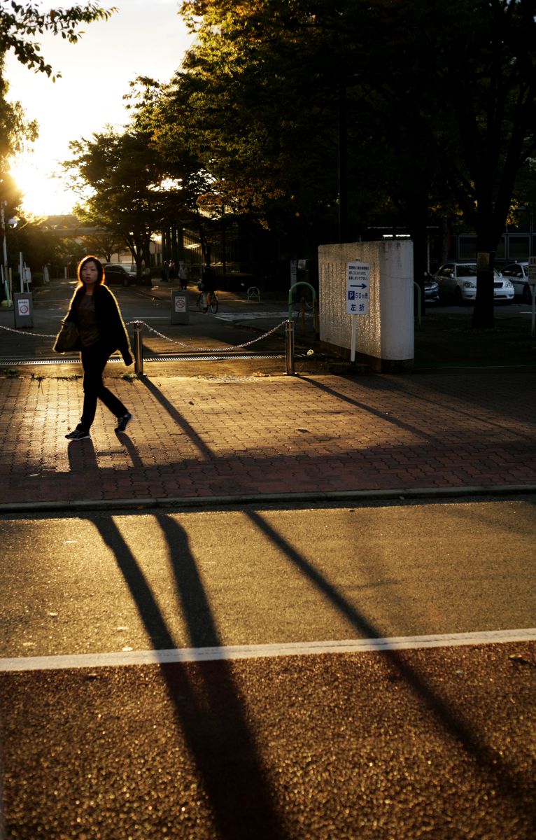 On the way back sunset | GANREF