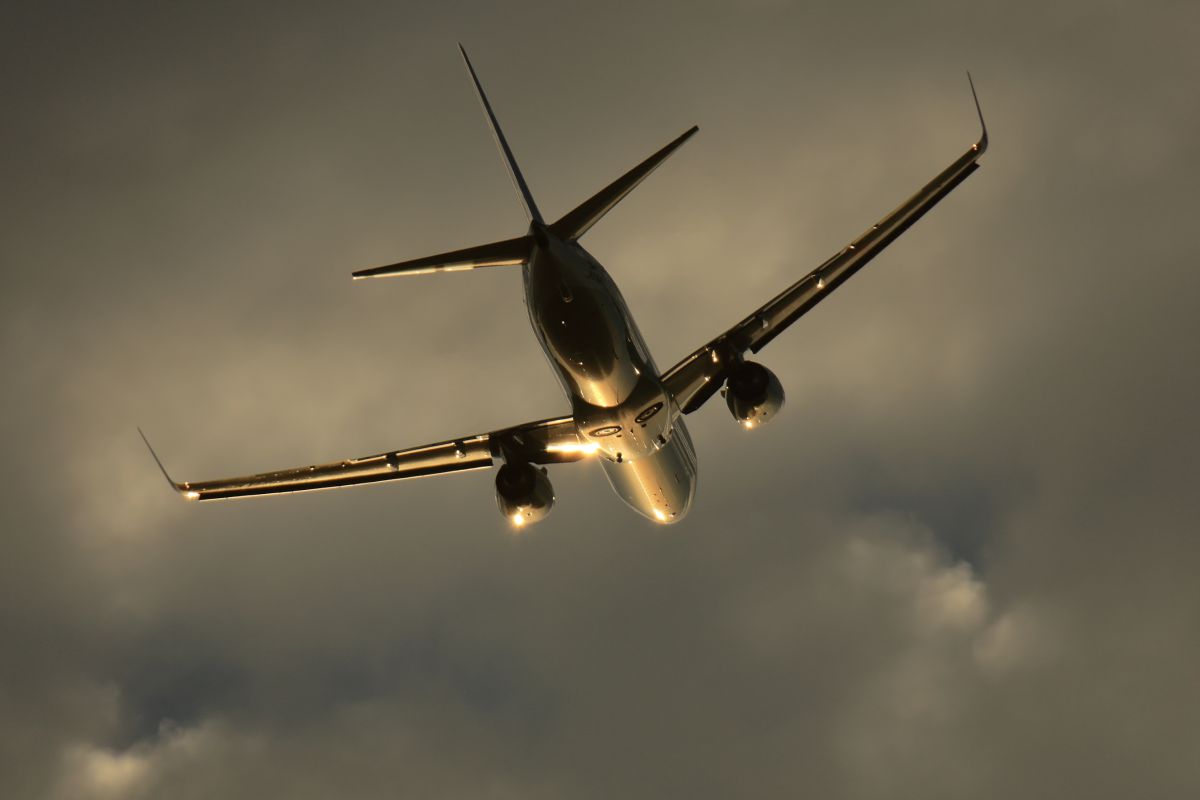 LIKE A GOLD JET | GANREF