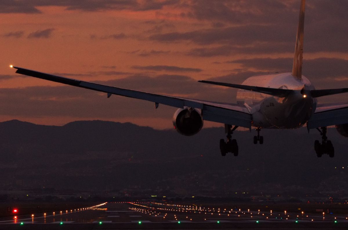 the left wing | GANREF