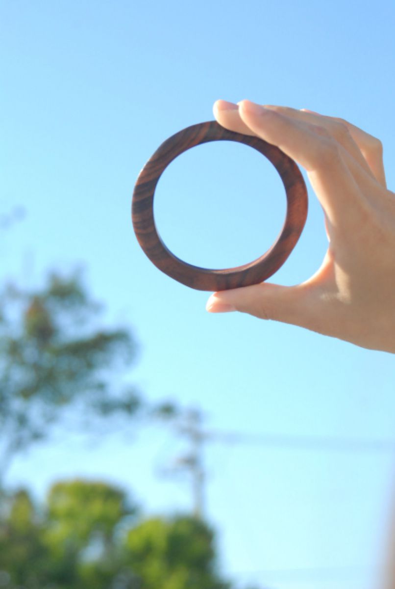 What's find...? | GANREF