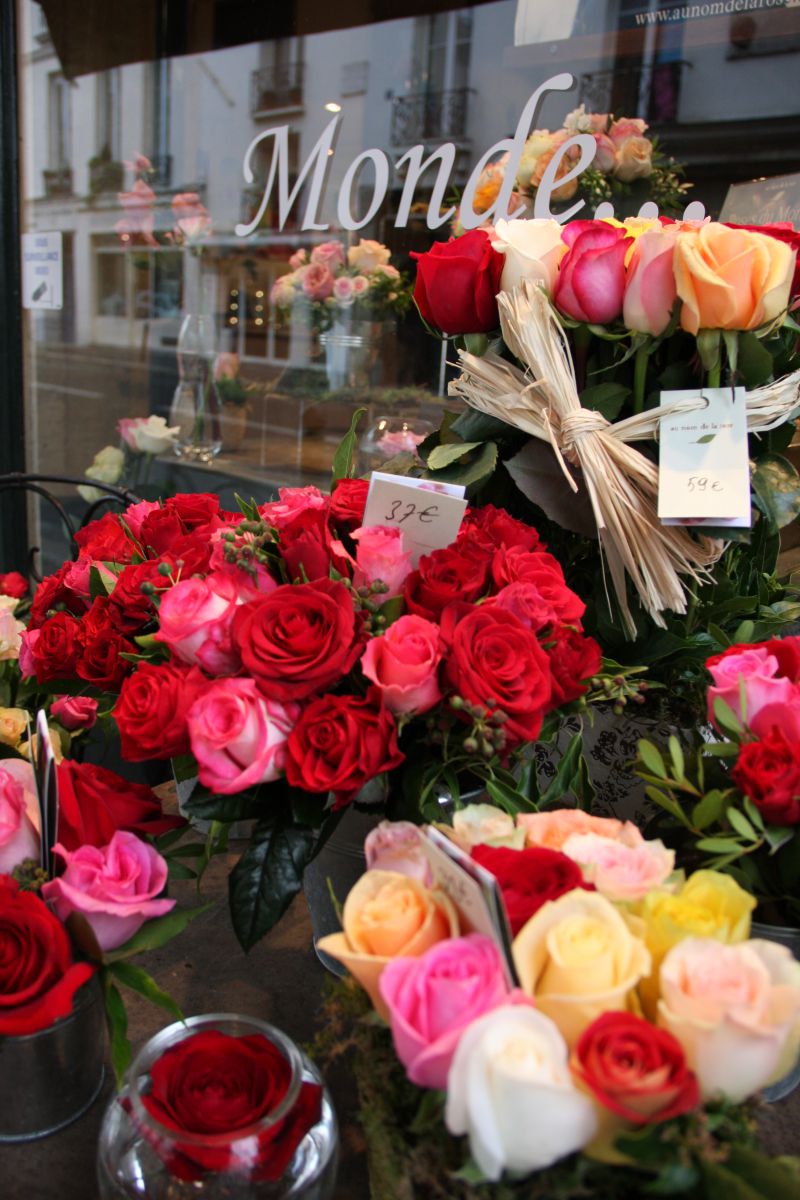 バラ専門店 | GANREF