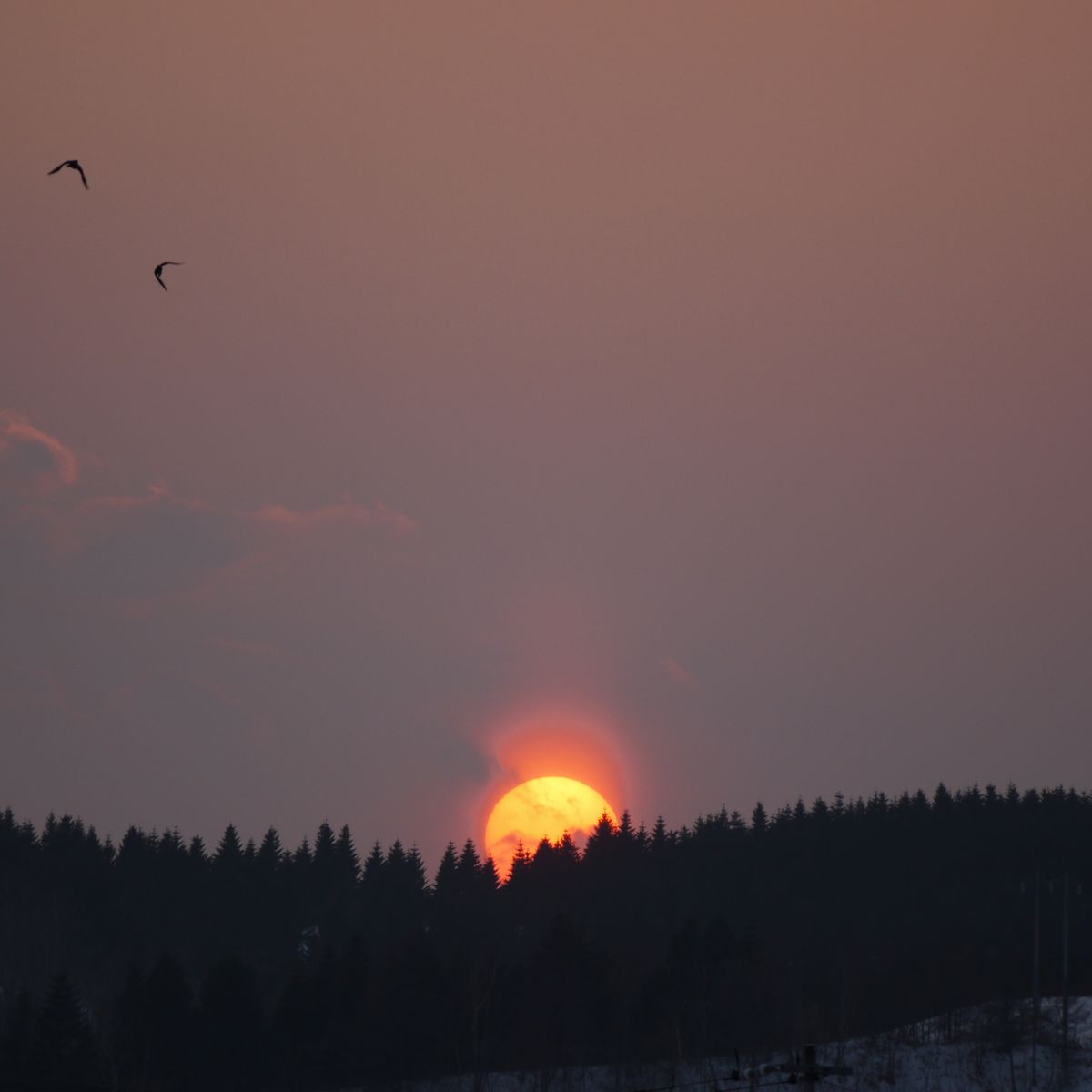 Evening glow | GANREF