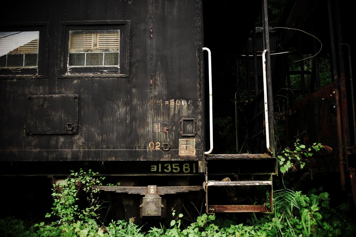 栄枯盛衰 | GANREF