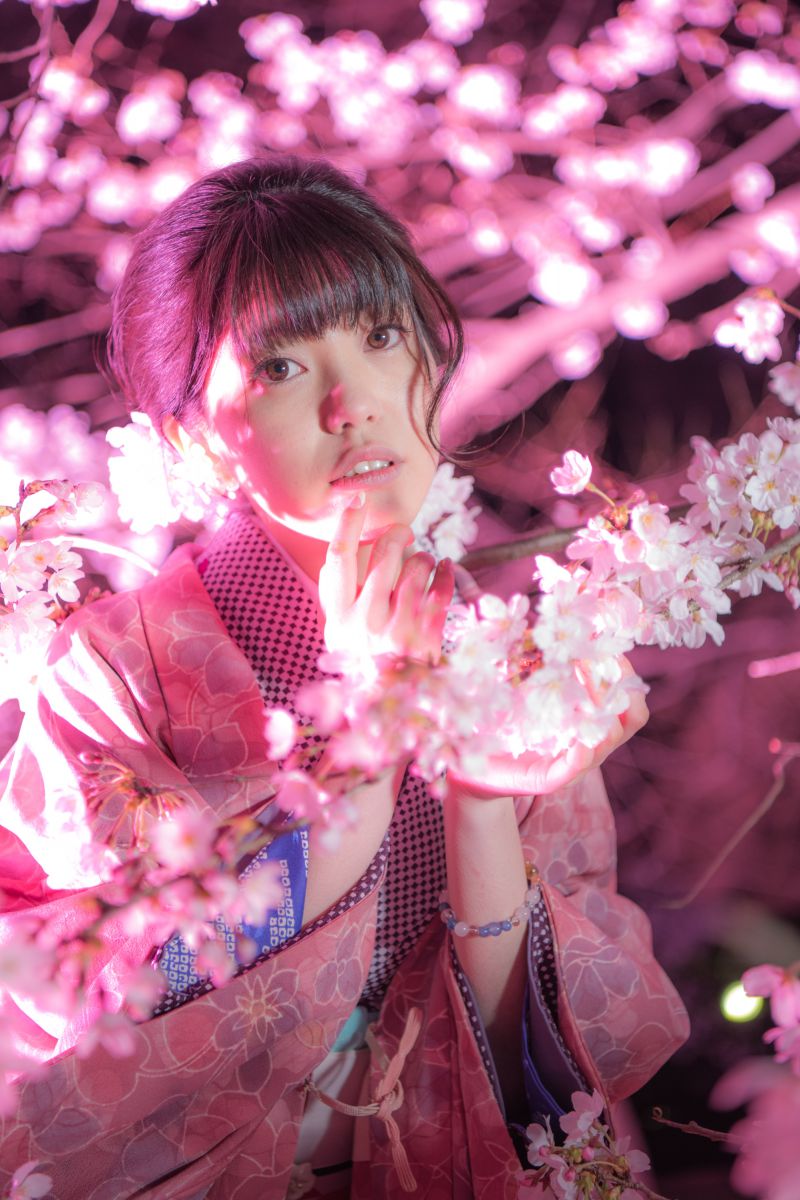 夜桜の舞い | GANREF