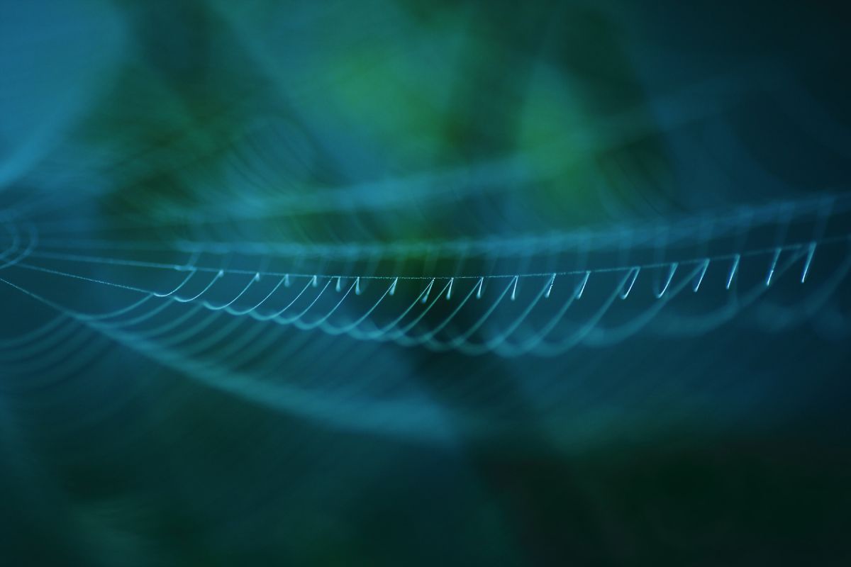 Sensitive Art | GANREF