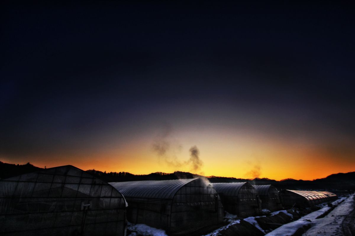 Morning glow | GANREF